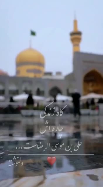 کلیپ یا امام رضا ناامیدم نکن