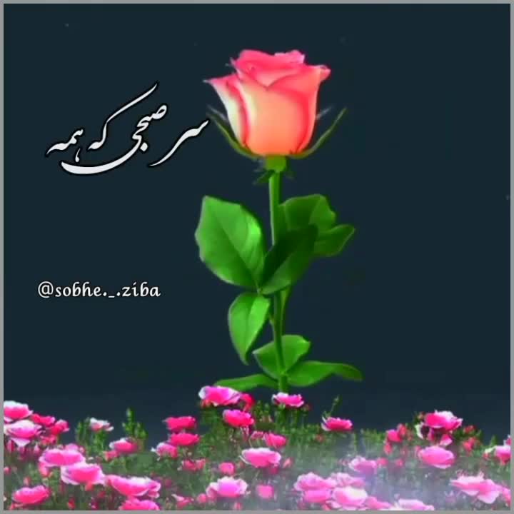 کلیپ زیبا سلام صبح بخیر