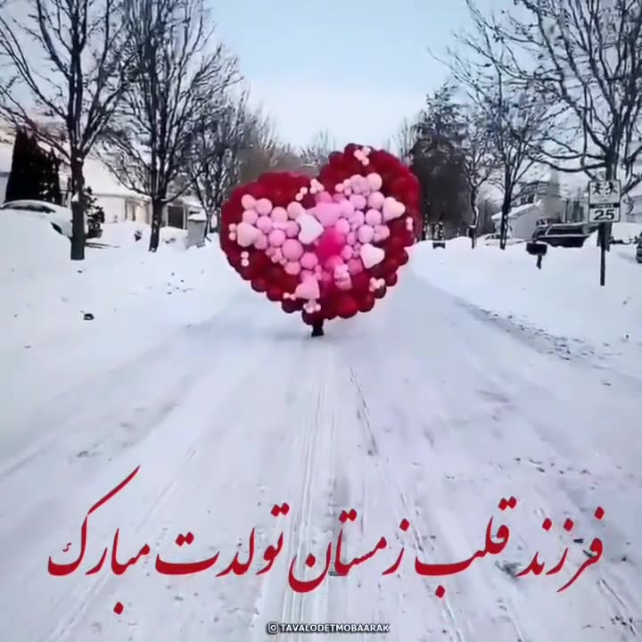 کلیپ تولد همسر بهمن ماهی عاشقانه