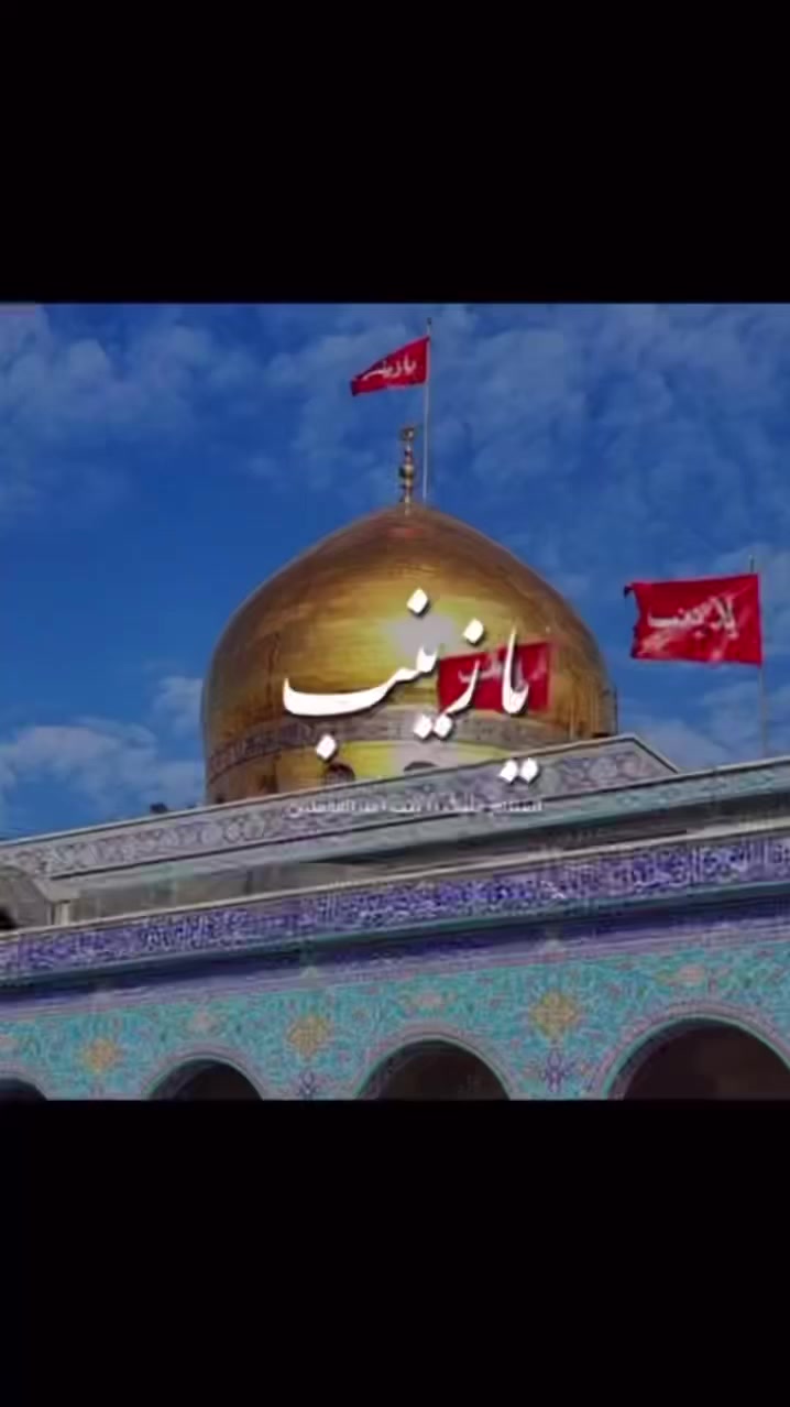 کلیپ استوری وفات حضرت زینب ترکی